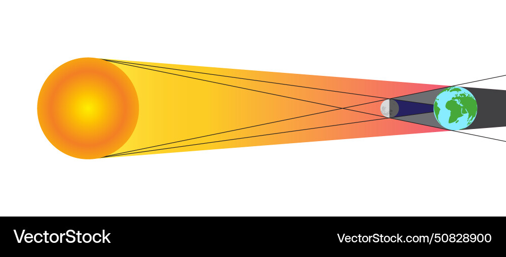Solar eclipse with penumbra and umbra sun moon Vector Image