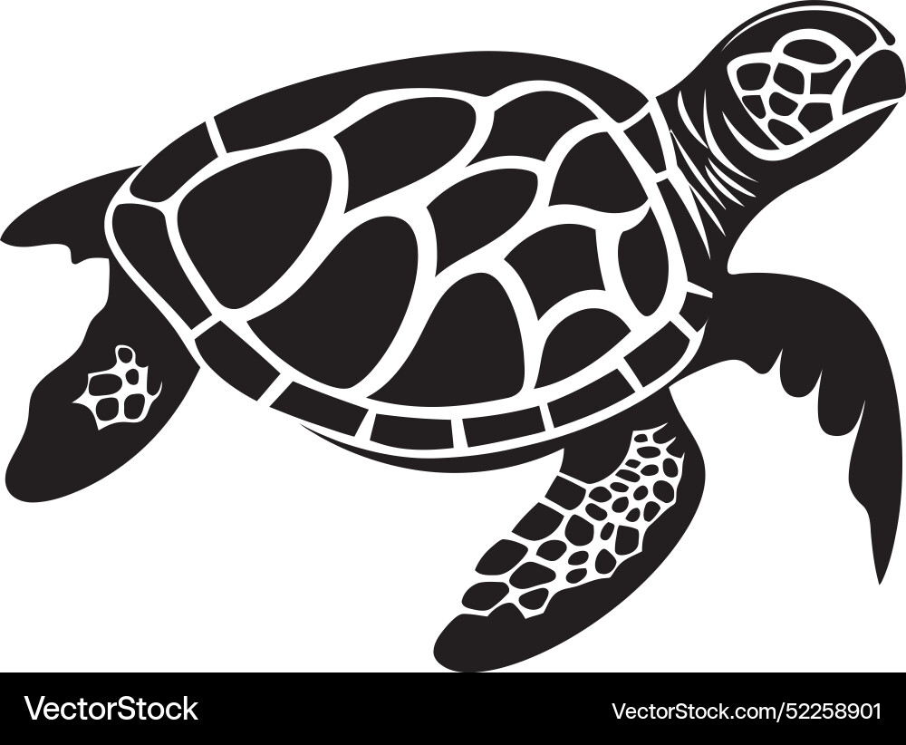 Stylistic black turtle shell pat Royalty Free Vector Image