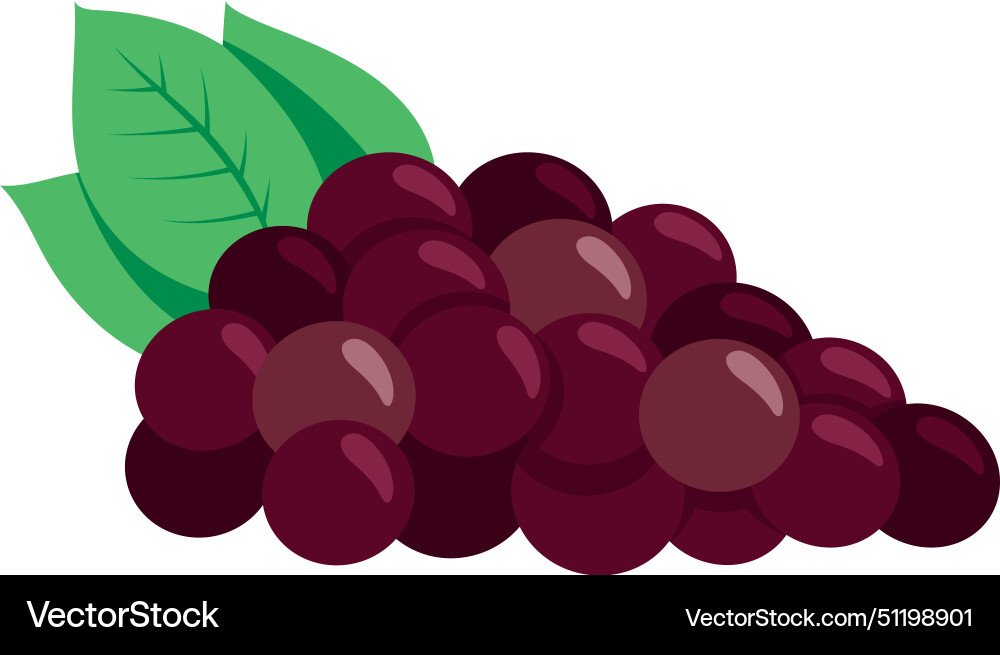 Wine day grapes Royalty Free Vector Image - VectorStock