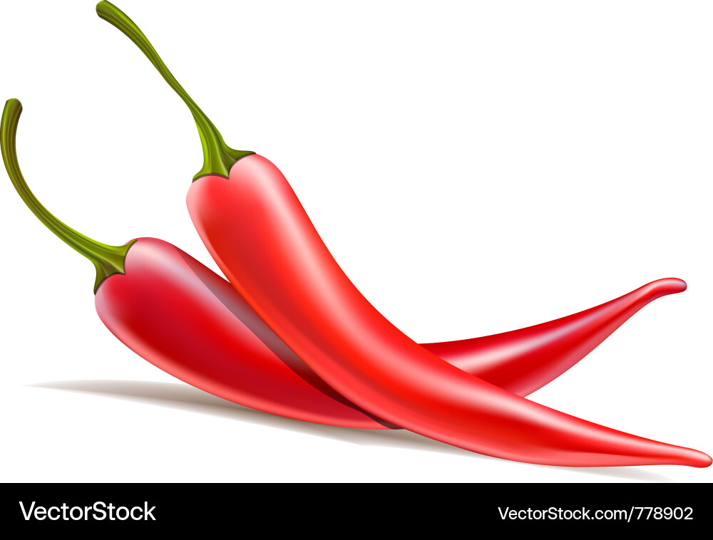Chili Peppers Arrangement Royalty Free Vector Image