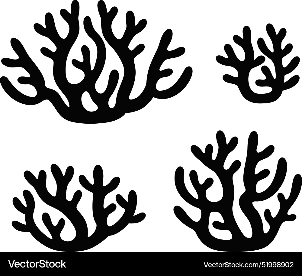 Coral Royalty Free Vector Image - VectorStock