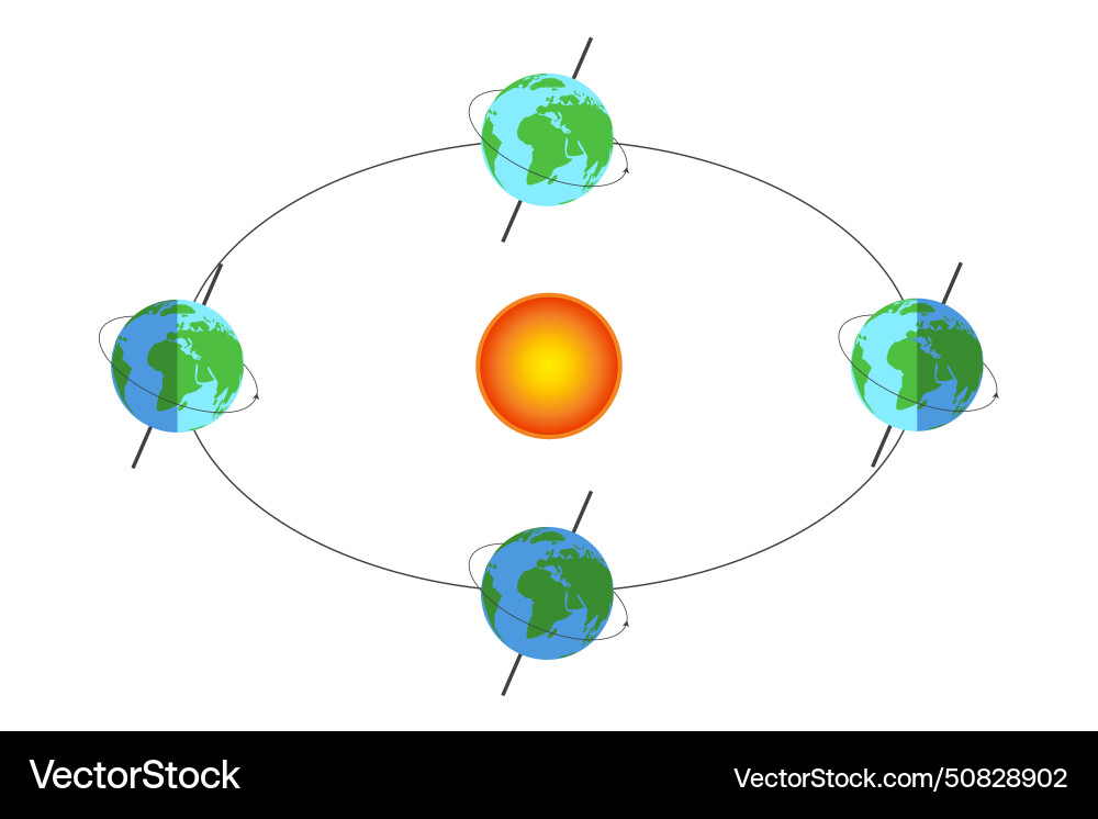 Earths orbit earth rotation around the sun Vector Image