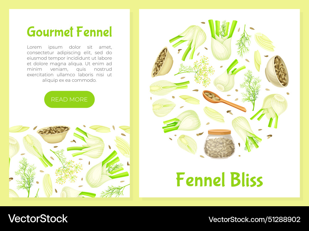 Fennel banner design with edible condiment Vector Image