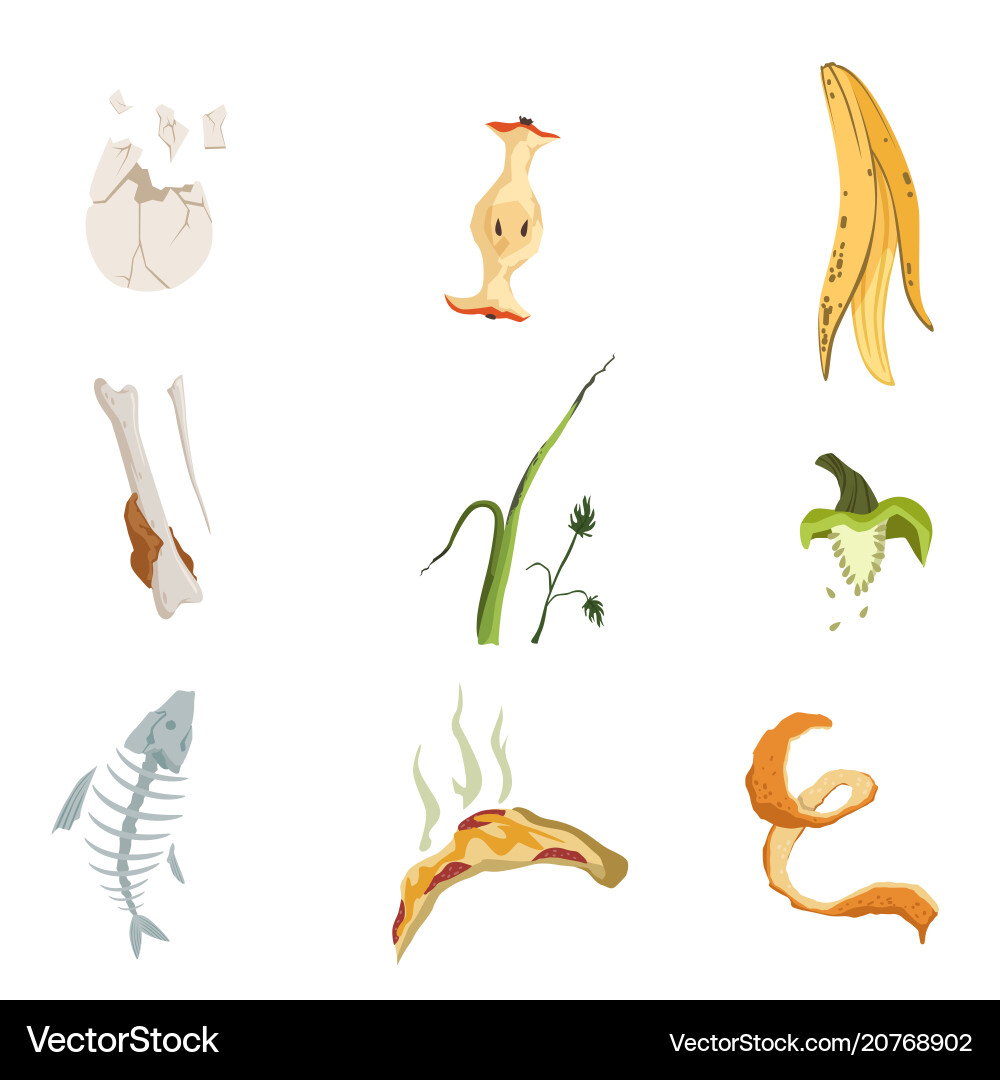 Apple Garbage Vector Images (over 2,000)