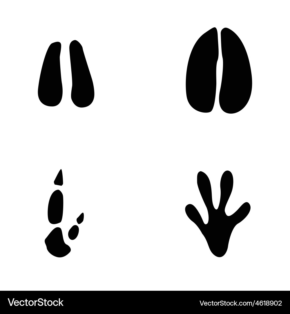 Cow Footprints Farm Animals Footprint Stickers Stock Vector By