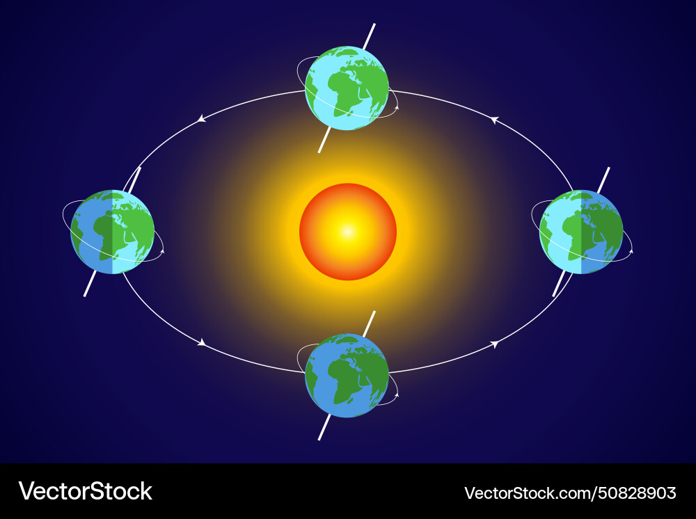 Earths orbit earth rotation around the sun Vector Image