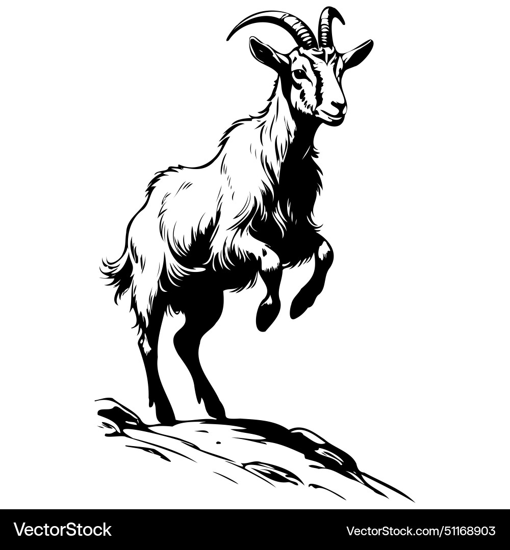 Monochrome alpine goat jumps drawing black Vector Image