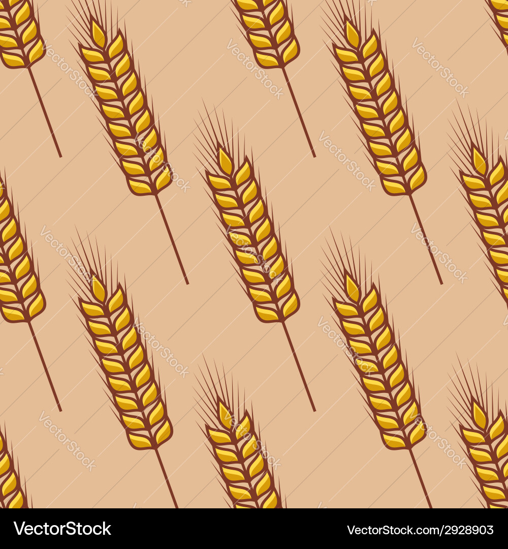 Wheat Grain Pattern Royalty Free Vector Image - VectorStock