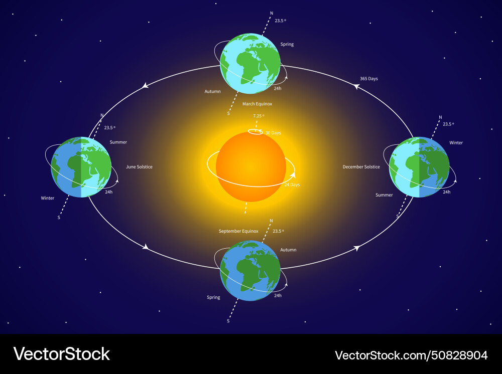 Earths orbit earth rotation around the sun Vector Image