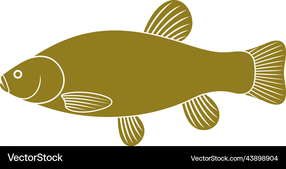 Tench Royalty Free Vector Image - VectorStock