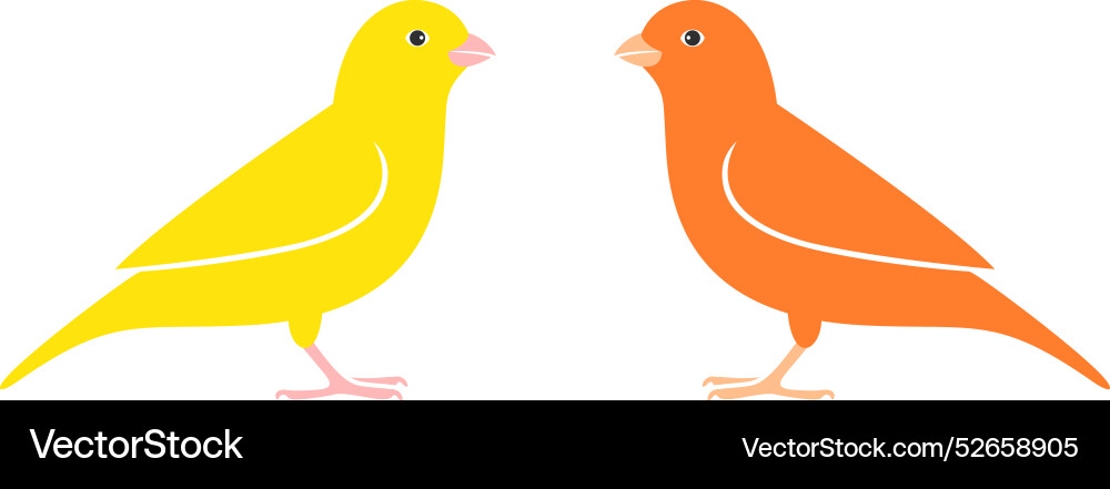 Canary Royalty Free Vector Image - VectorStock