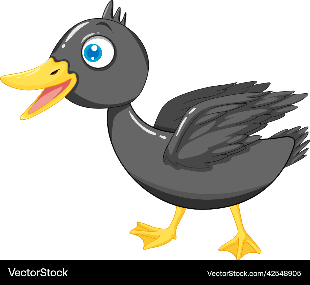 Duck Mallard Cartoon Charakter Lizenzfreies Vektorbild