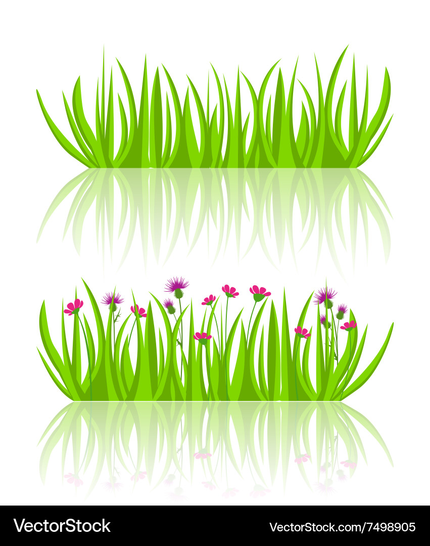 Grass Royalty Free Vector Image - VectorStock