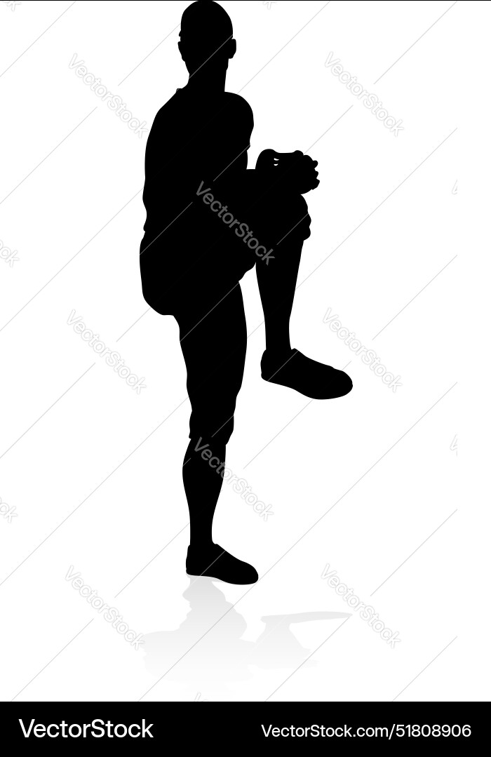 Baseball player silhouette Royalty Free Vector Image