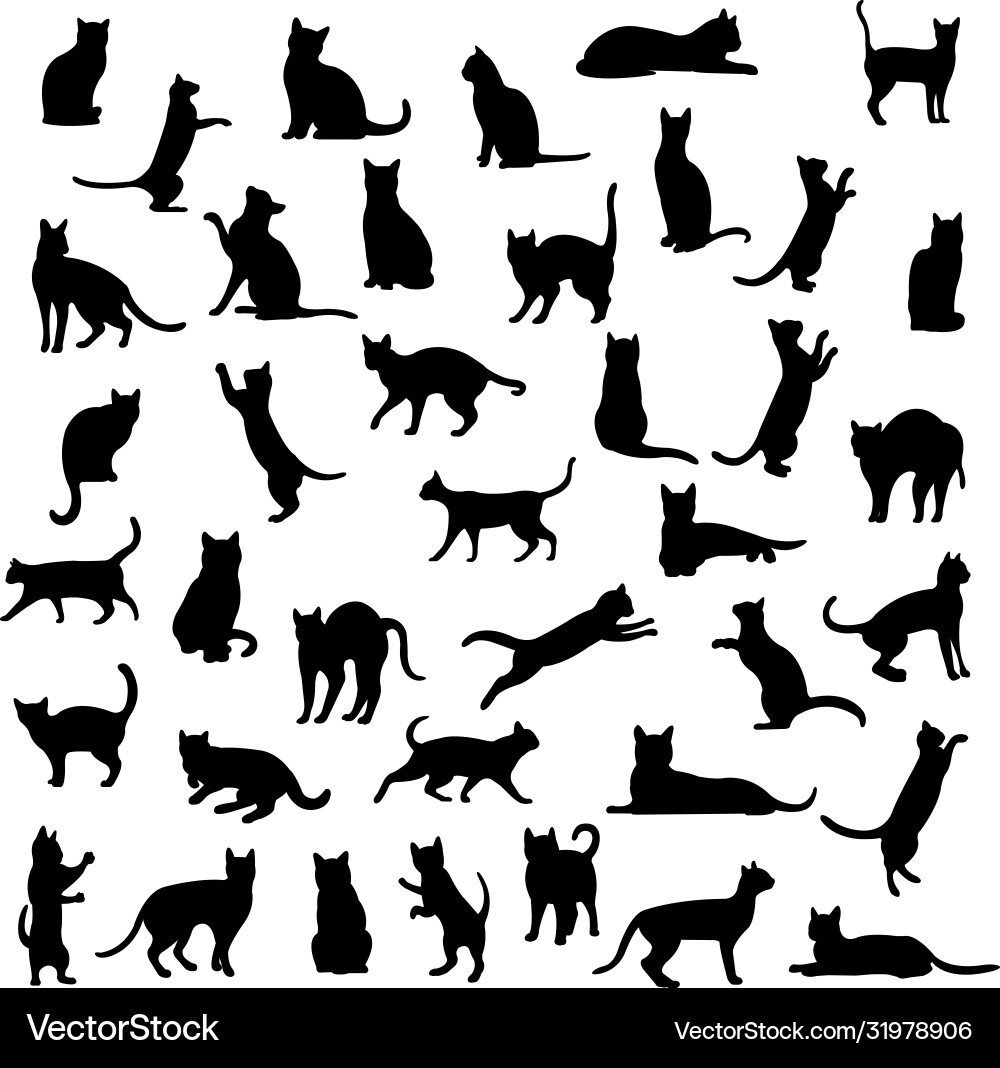 Black cat set isolated white background Royalty Free Vector