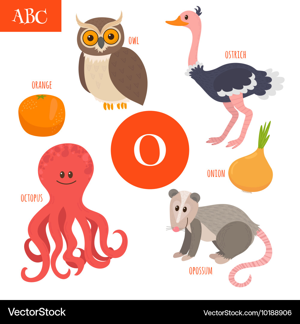 Letter O Animals Cartoon Royalty Free Vector Image
