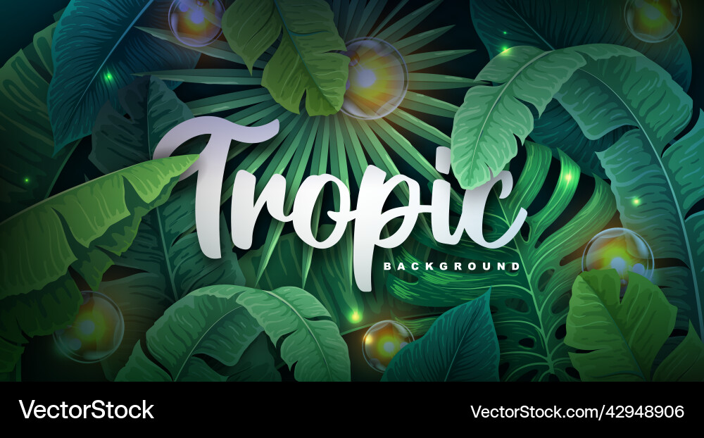 Tropic wild forest background Royalty Free Vector Image