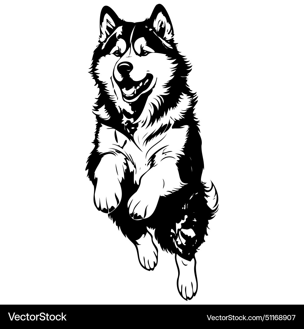 Alaskan Animal Sharpie Drawings