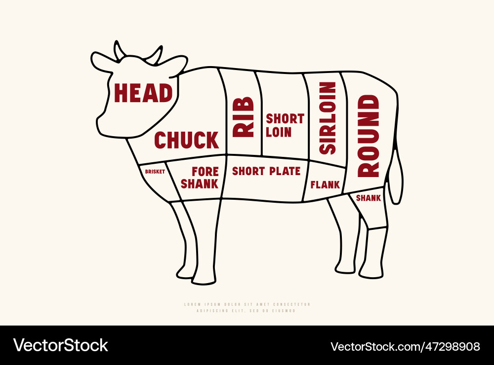 Rindfleischschnitte Diagramm in dünner Linie Stil