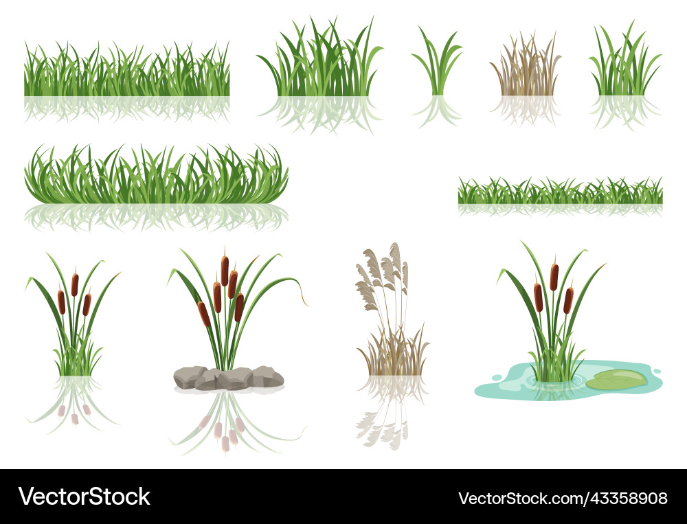 Lakeside Reeds & Cattails Royalty Free Vector Image