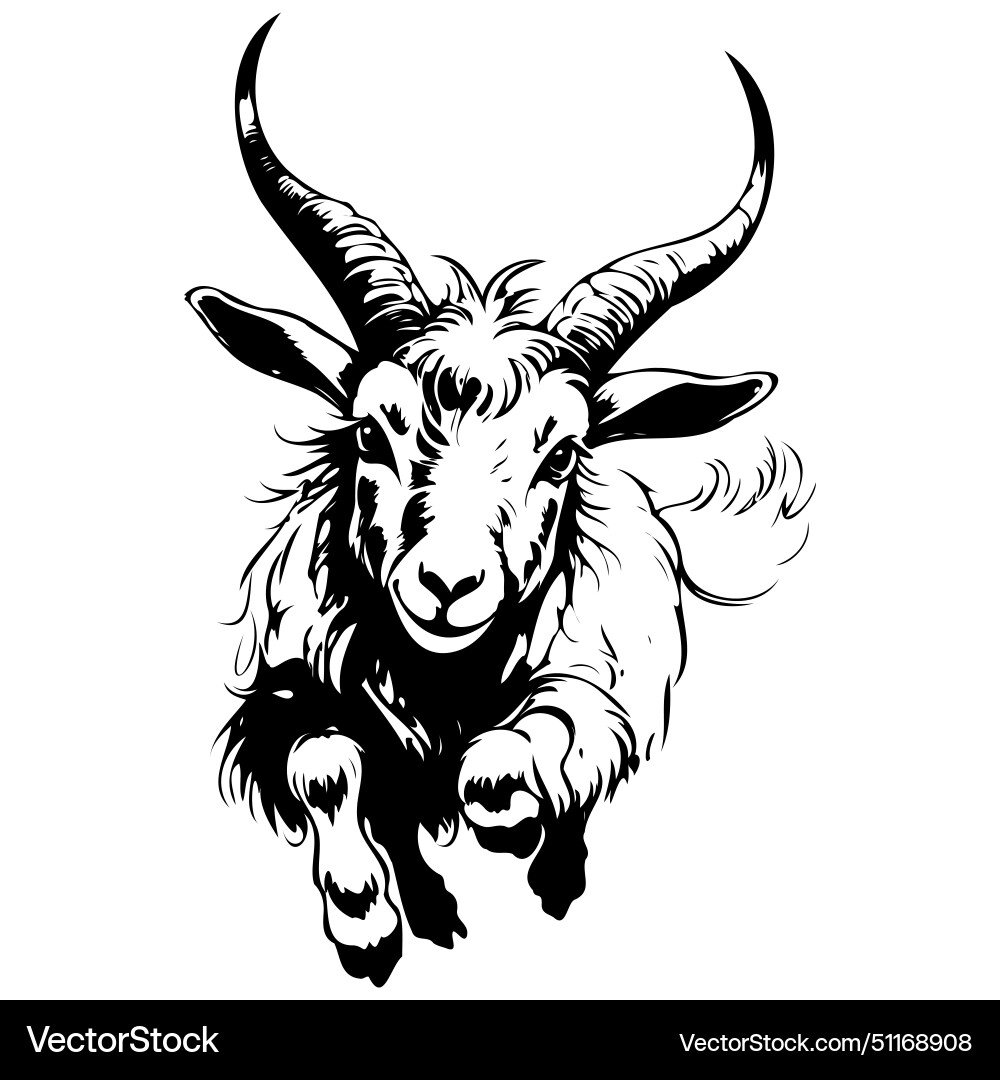 Realistic angora goat jumps hand drawn animal Vector Image