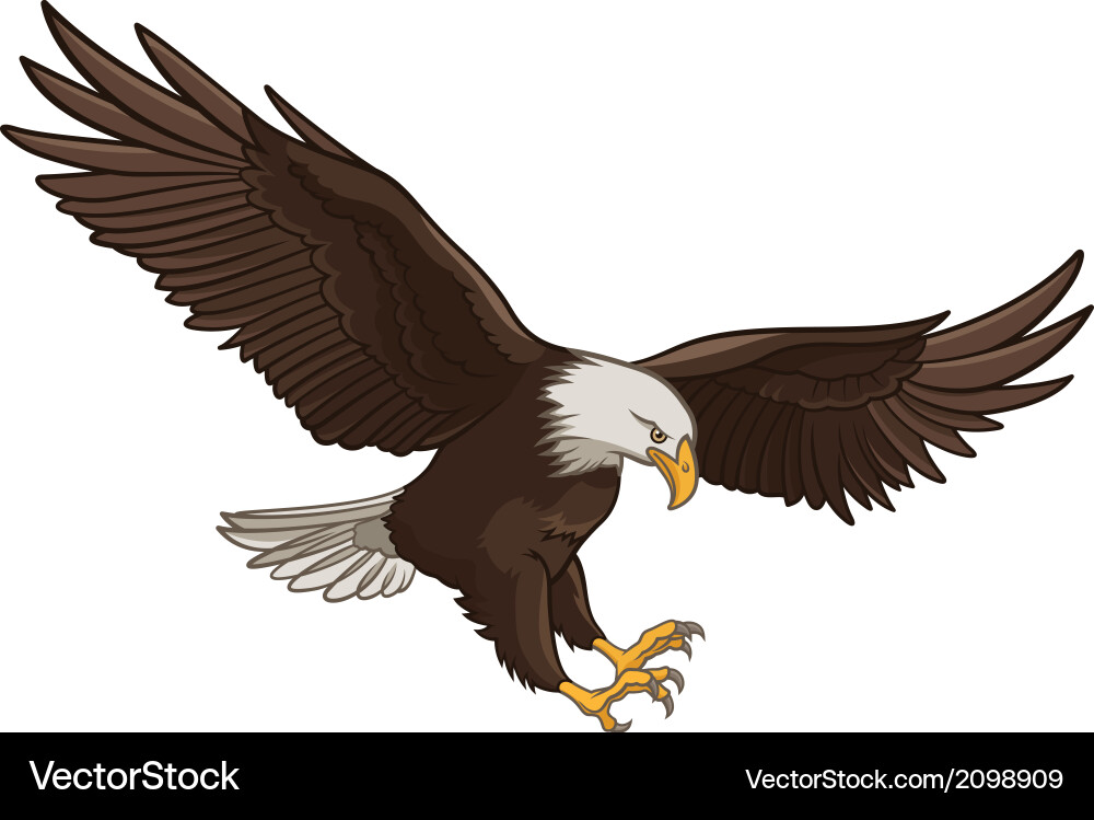 Realistischer Adler Vector Images (über 1,700)