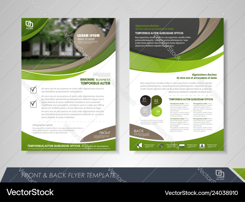 Flyer design layout Royalty Free Vector Image - VectorStock