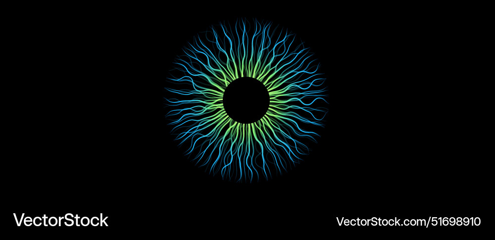 Human iris poster Royalty Free Vector Image - VectorStock