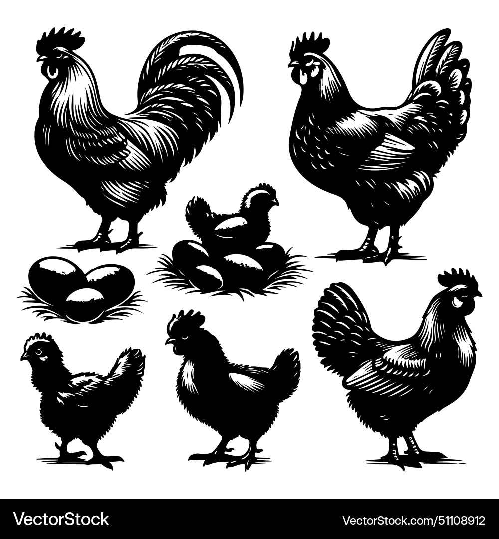 Silhouette set of chicken Royalty Free Vector Image