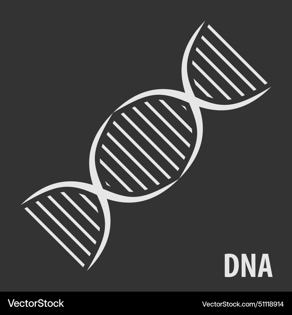 Dna helix icon human genetic symbol Royalty Free Vector
