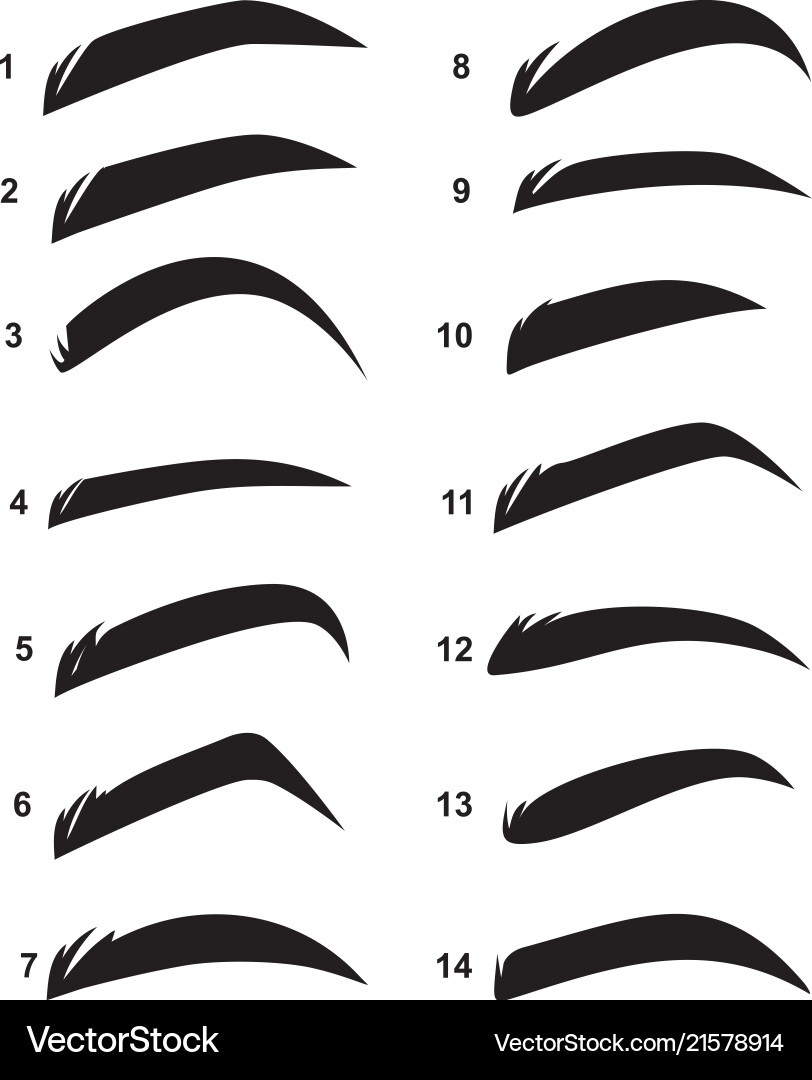 Makeup Collection Vector Images (over 22,000)