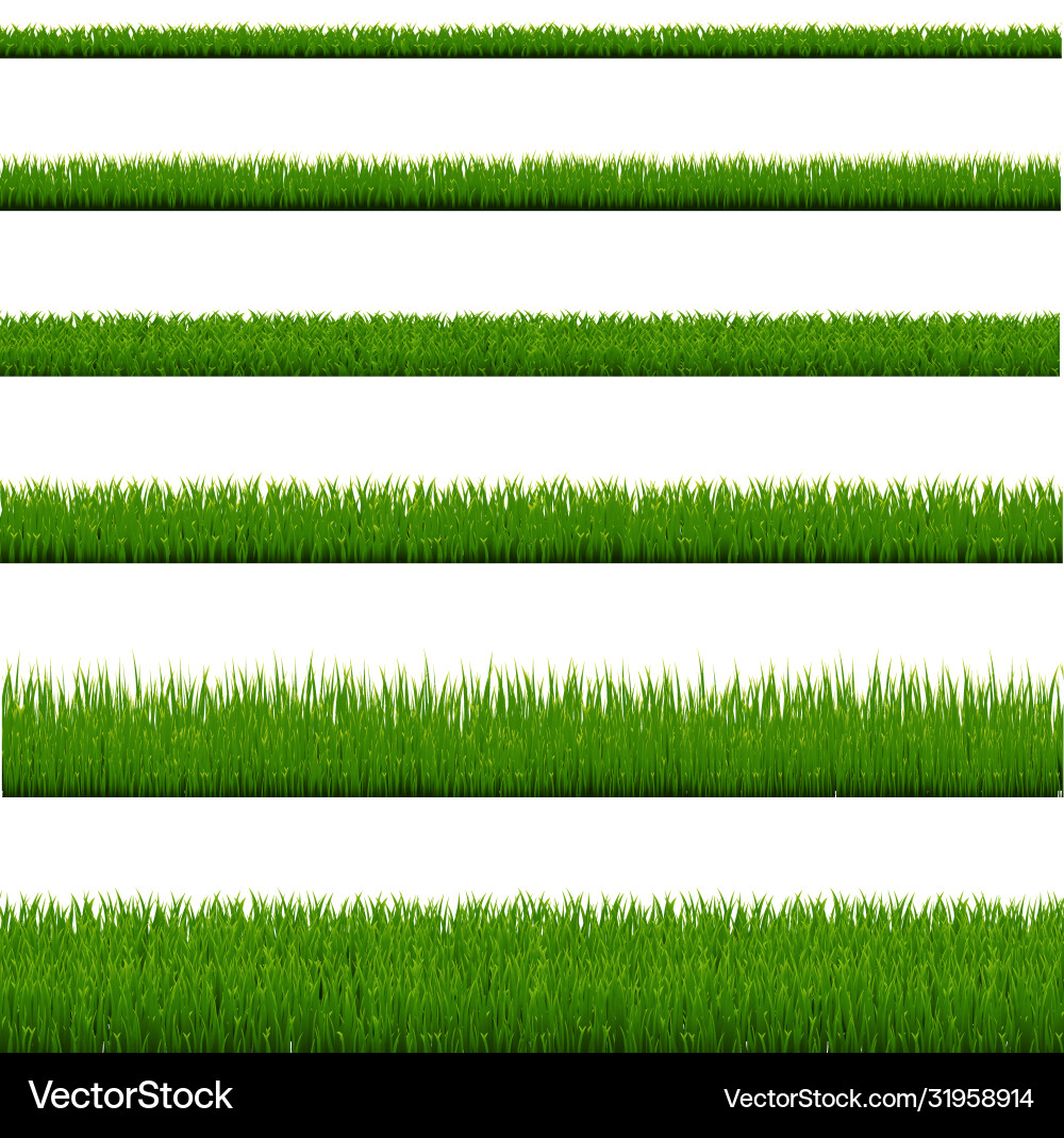 Green grass collection isolated white background Vector Image