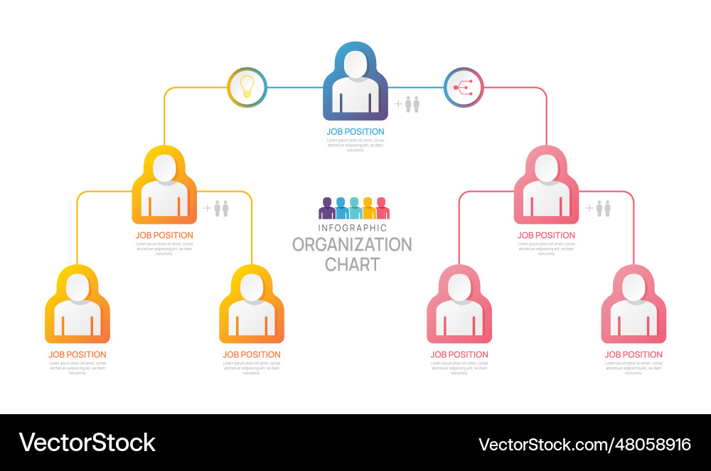 Infographic template for organization chart Vector Image