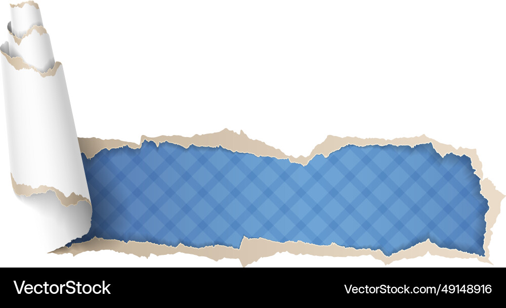 Torn paper with retro styled wallpaper behind Vector Image