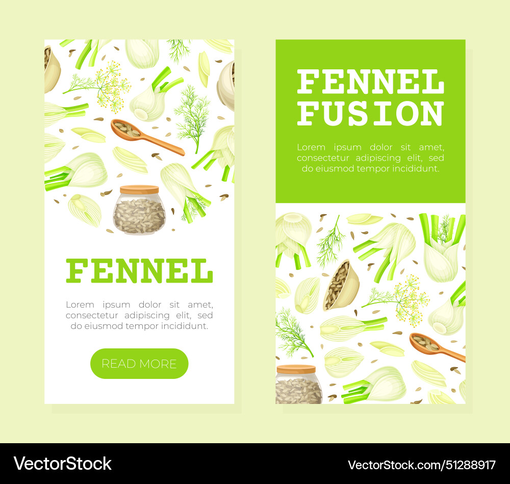 Fennel banner design with edible condiment Vector Image