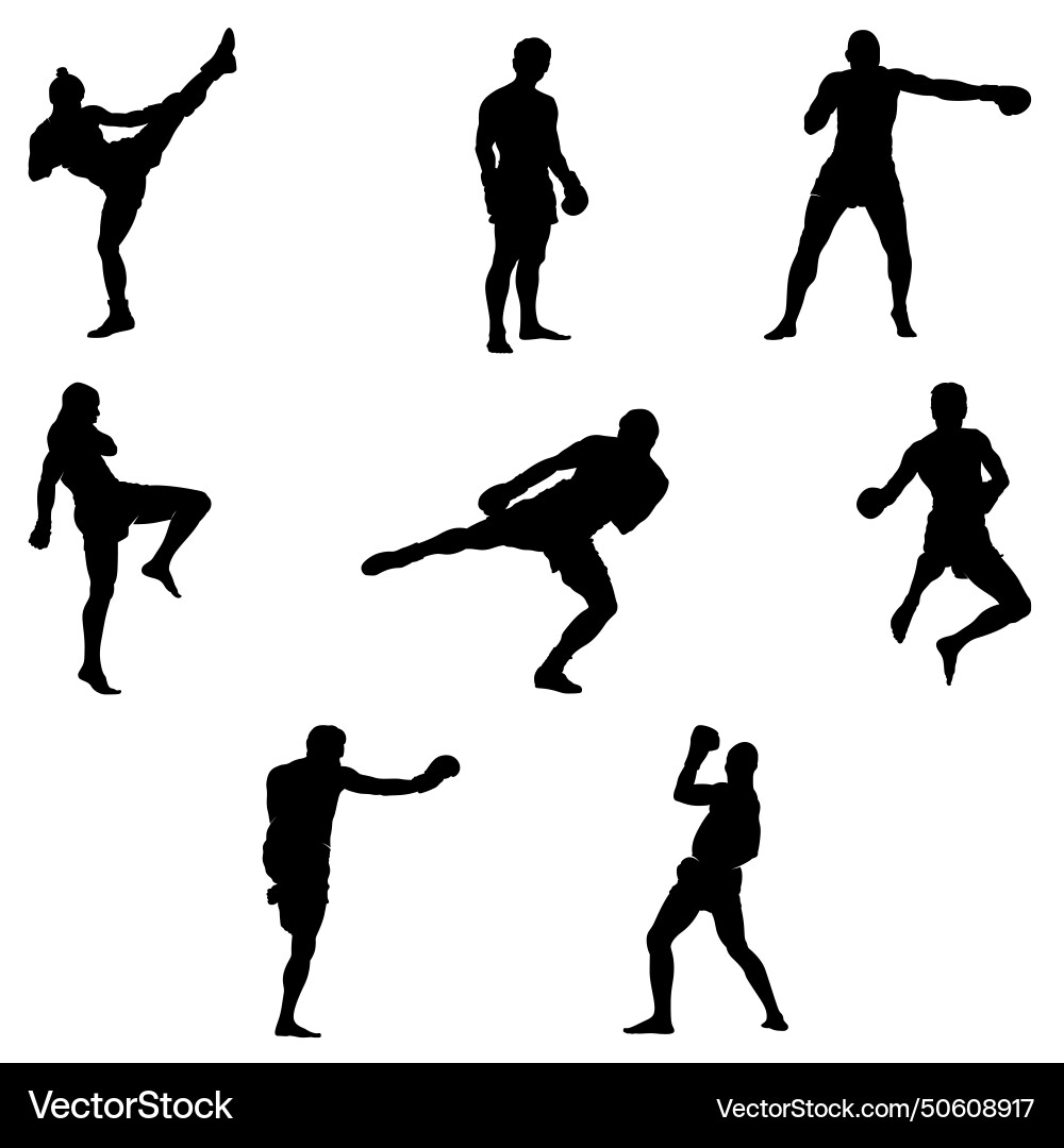 Kickboxing fighting silhouettes Royalty Free Vector Image