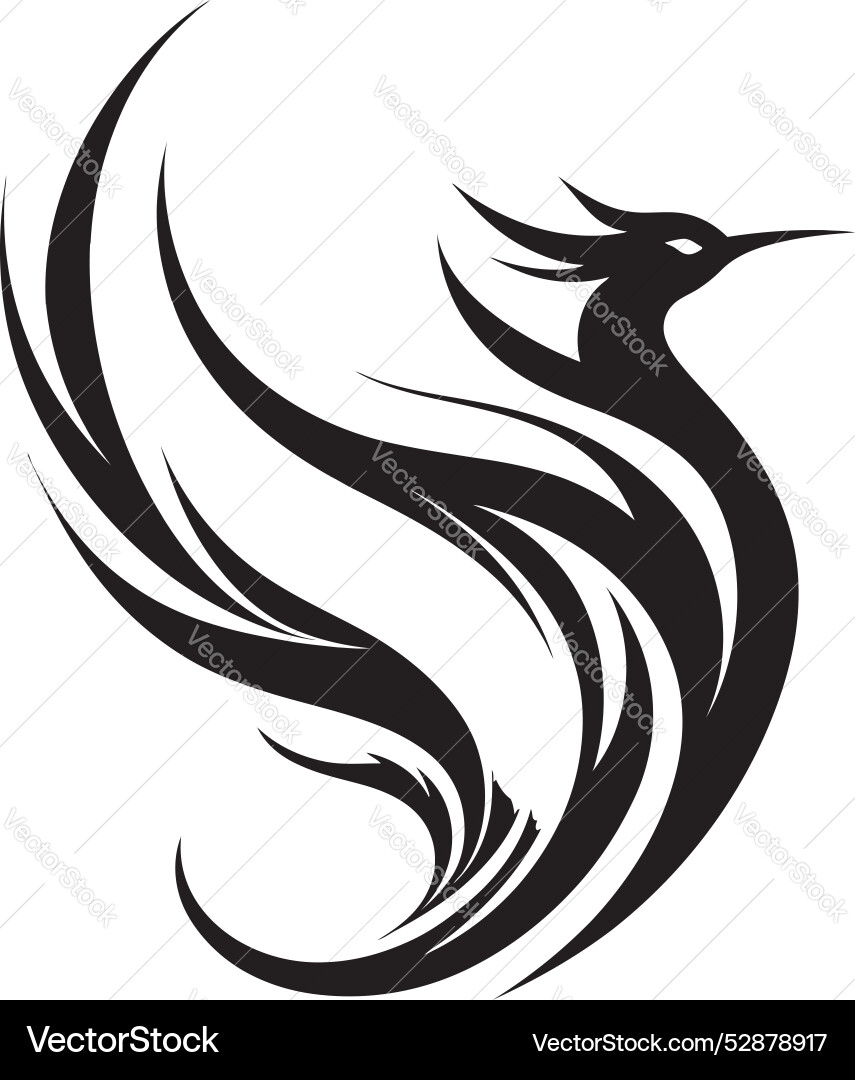 Abstract Phoenix Tail Vector Images (over 900)