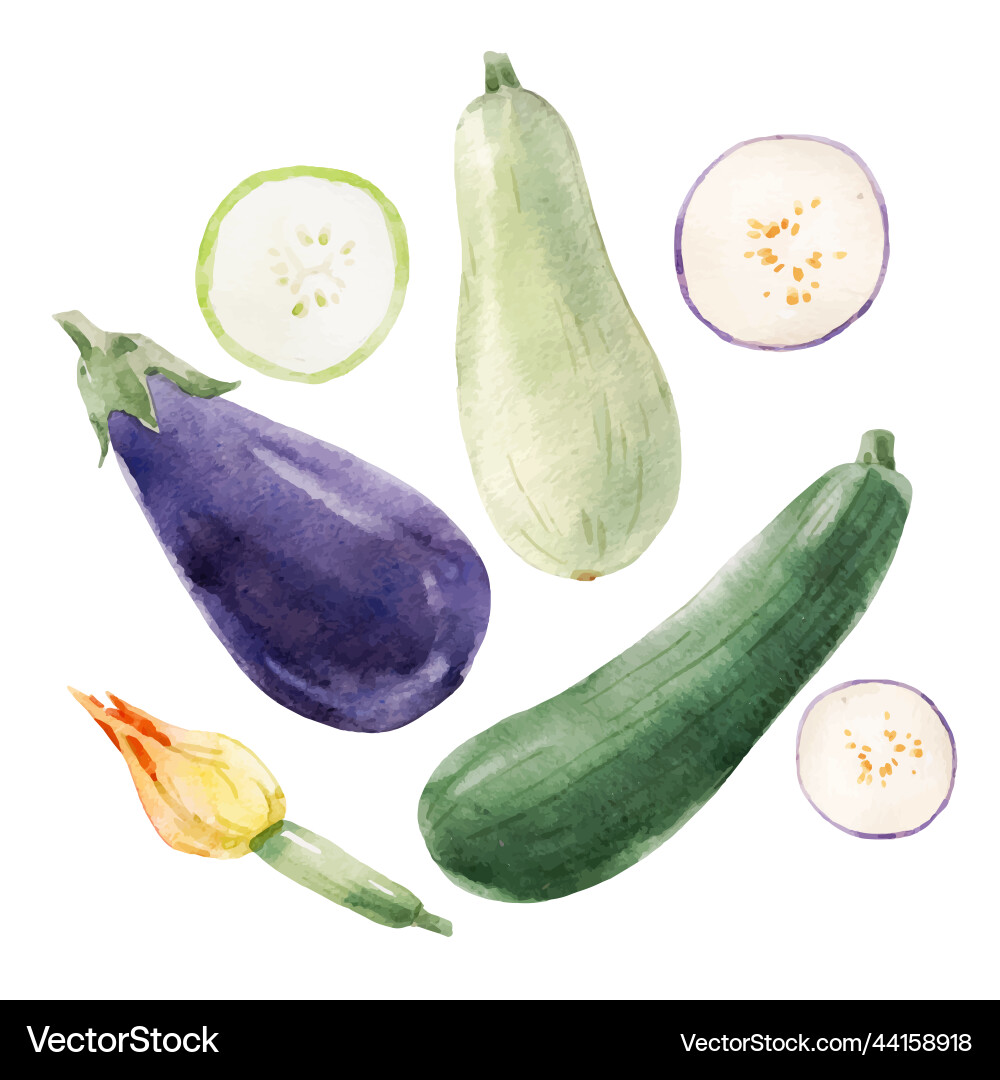 Beautiful stock clip art Royalty Free Vector Image