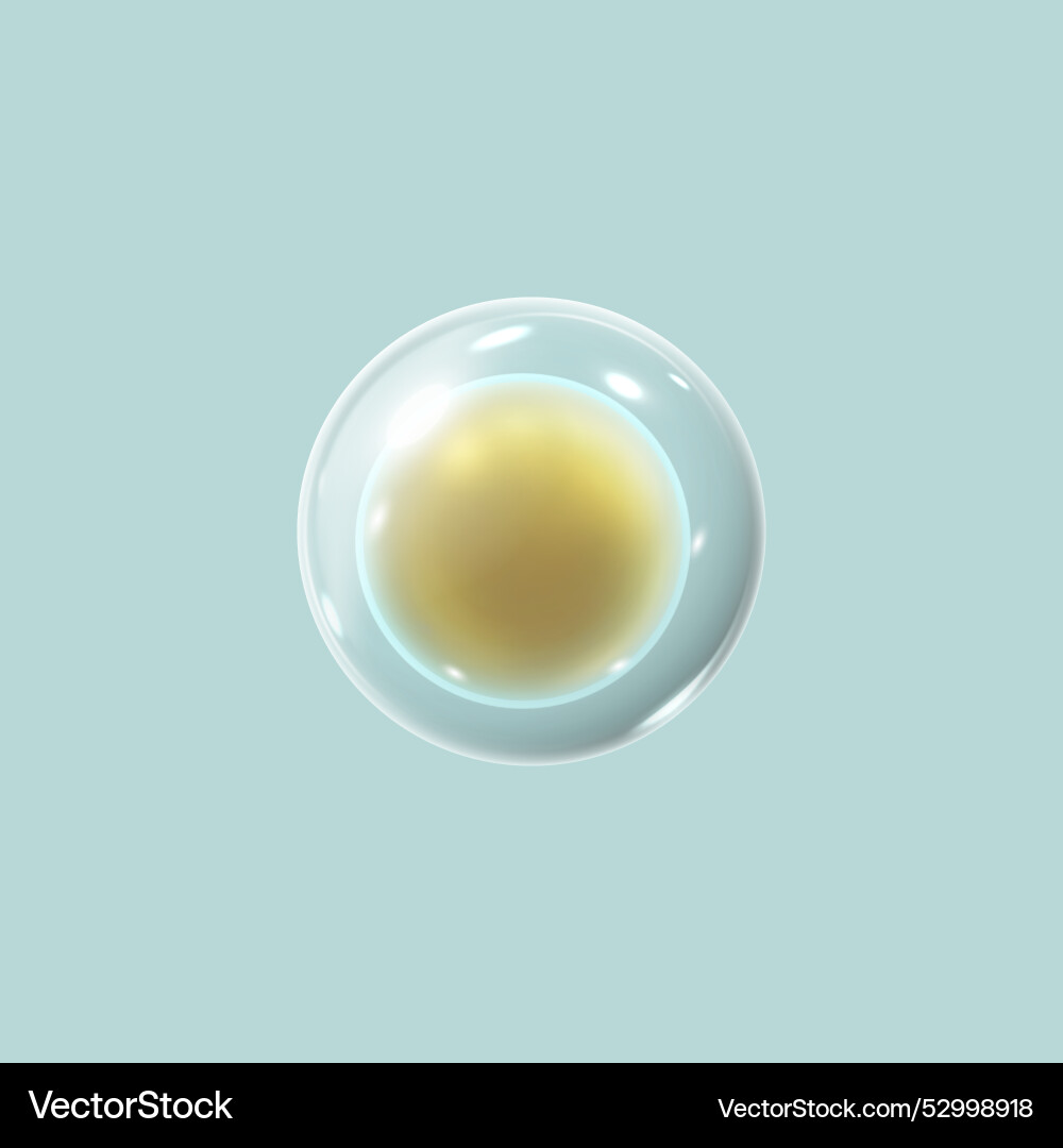 Realistic 3d glass sphere shield with yellow ball Vector Image