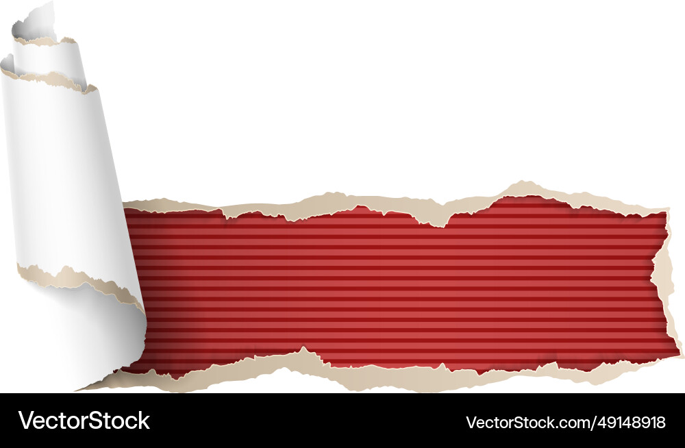 Torn paper with retro styled wallpaper behind Vector Image