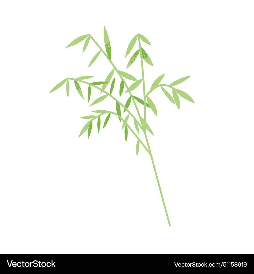 Bamboo branch green leaves decorative exotic Vector Image