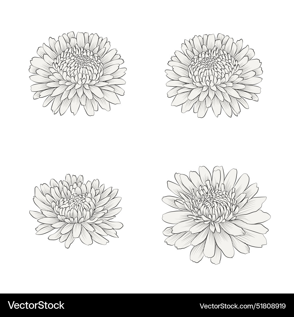 Set abstract outline monochrome Royalty Free Vector Image