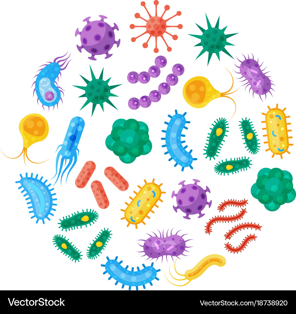 Microbial Collection Royalty Free Vector Image