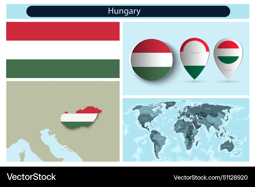 Political infographics made from maps and flags Vector Image