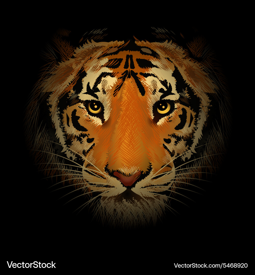 Tiger head Royalty Free Vector Image - VectorStock