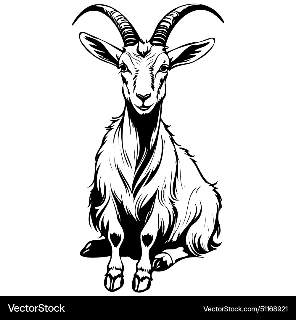 Alpine goat sitting engraving drawing of wild Vector Image