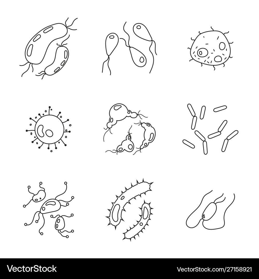 Bacteria and germs set Royalty Free Vector Image
