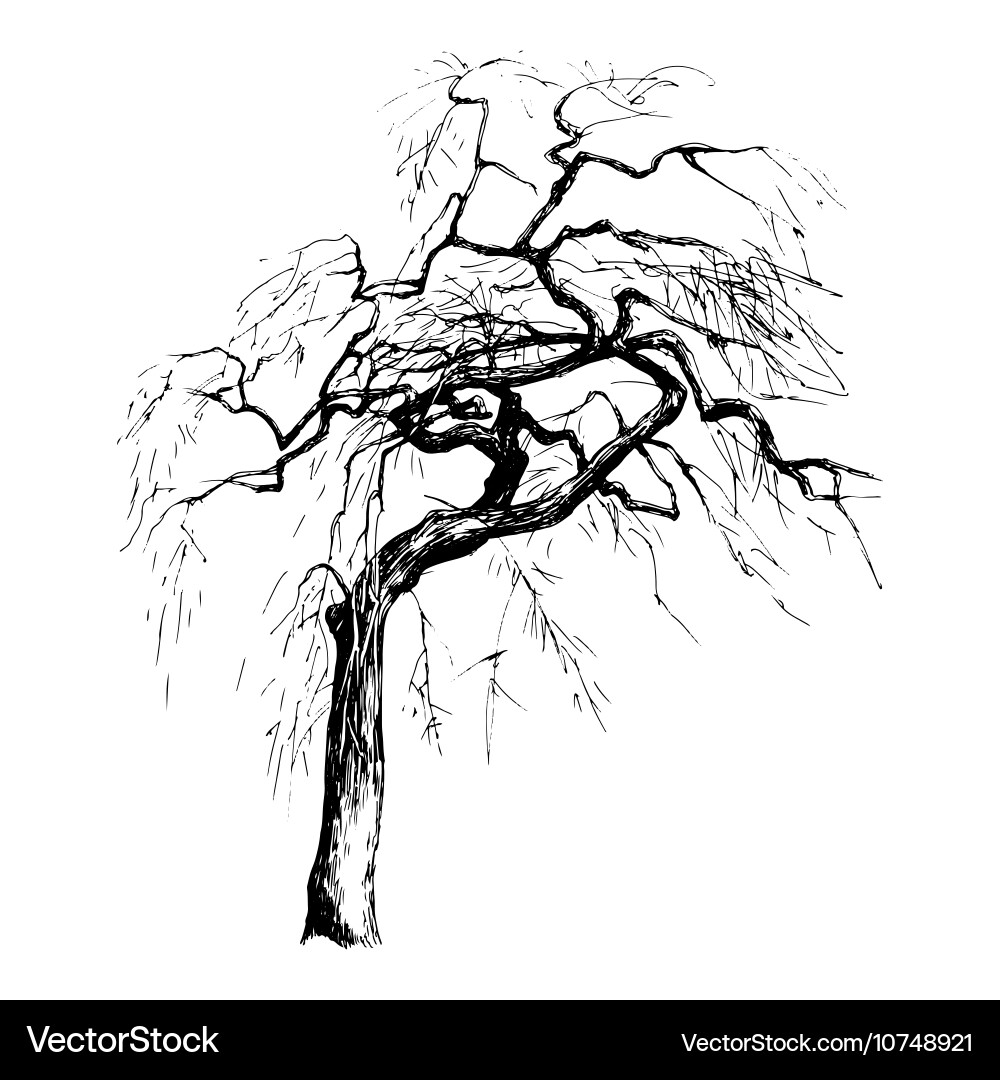 Hand drawn tree silhouette Royalty Free Vector Image