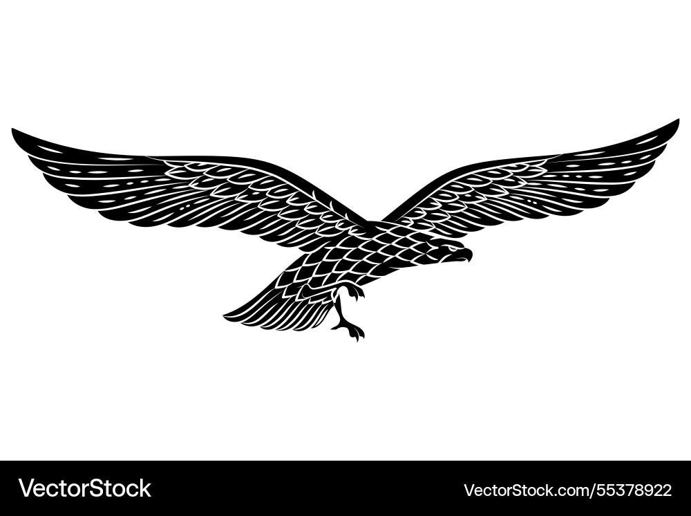 Eagle with spread wings – Royalty-Free Vector | VectorStock