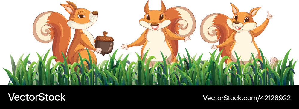 Three squirrels in the garden Royalty Free Vector Image